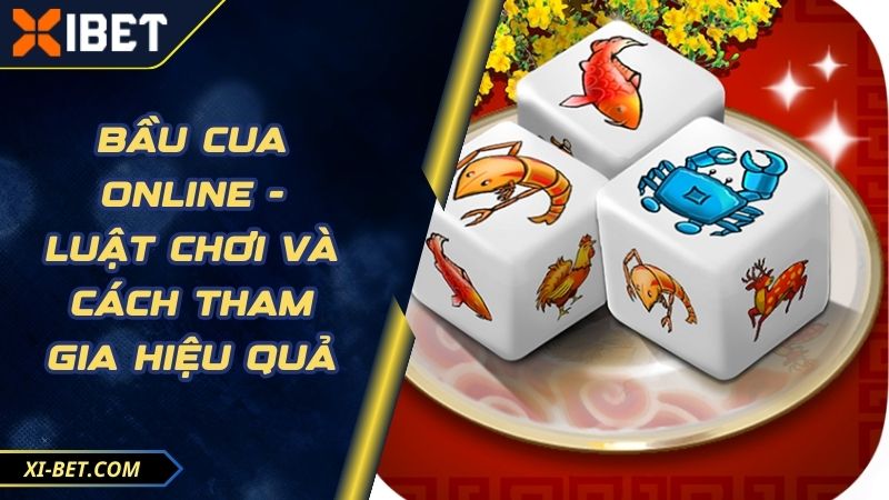 XIBET - Nhà Cái Thể Thao, Live Casino Trực Tuyến Uy Tín 2025